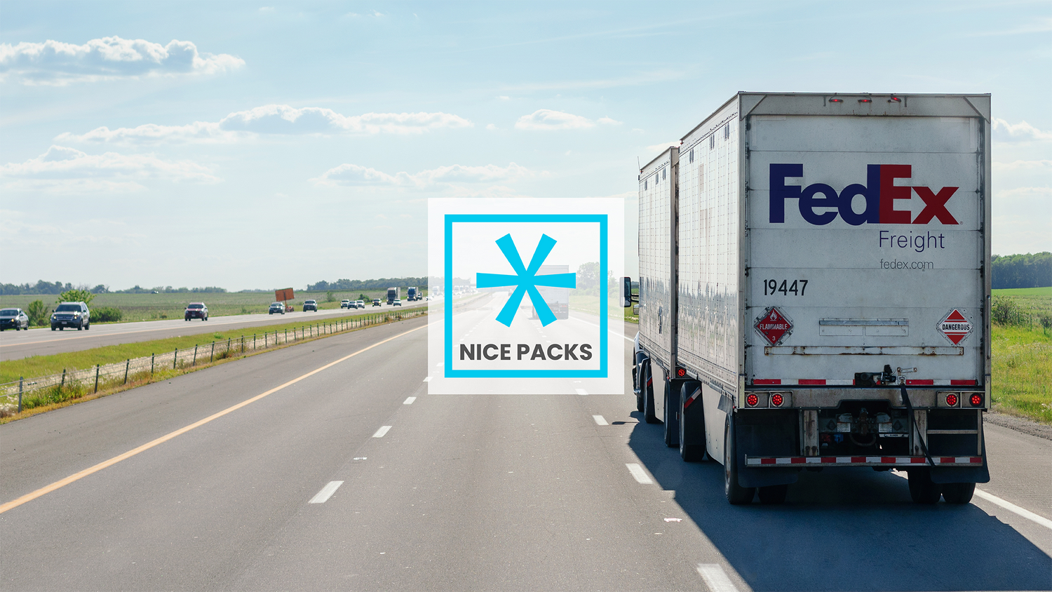 Can You Ship Frozen Food Through FedEx? – Nice Packs