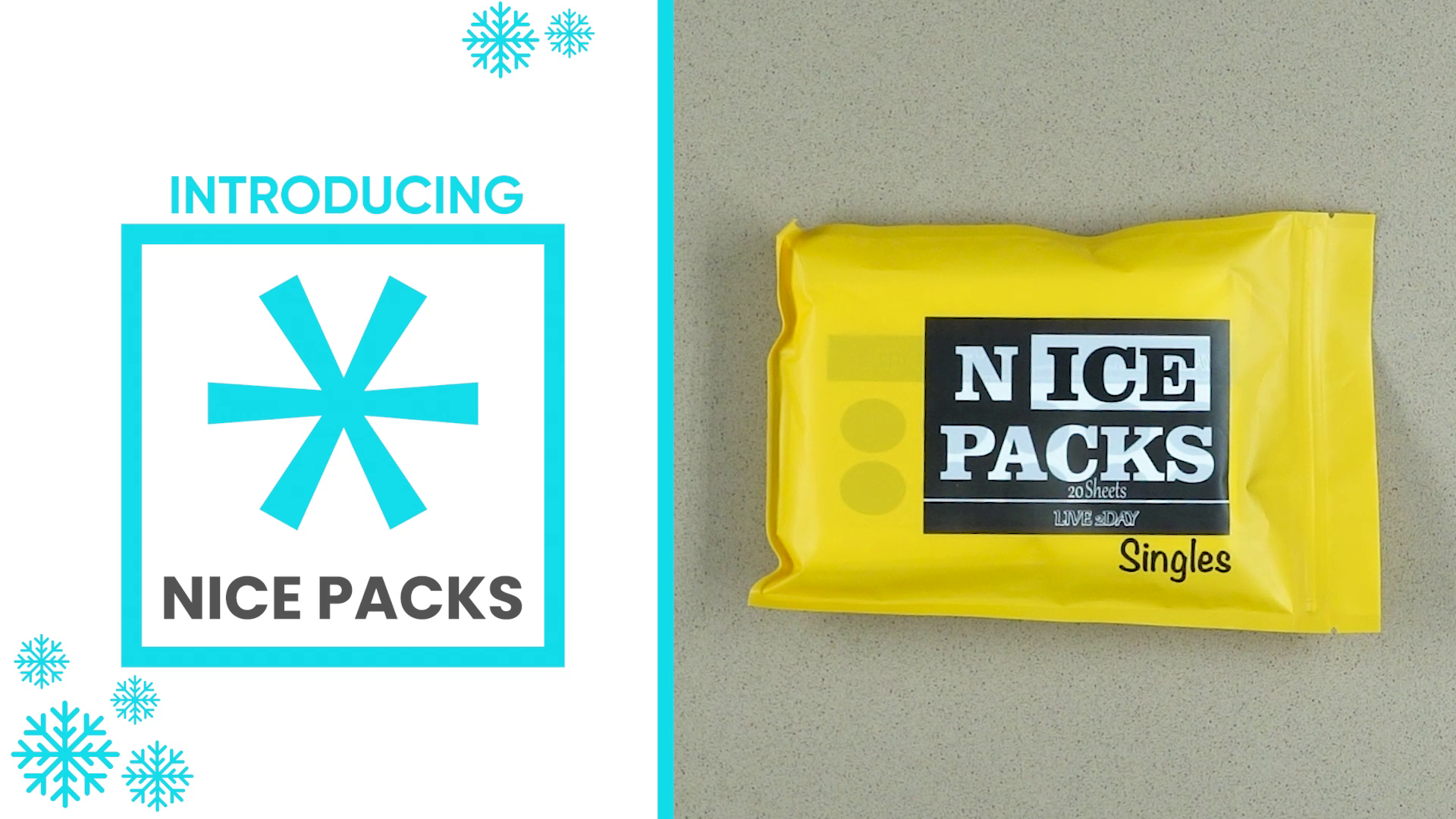 Nice Packs - Food Transportation - Dry Ice Packs